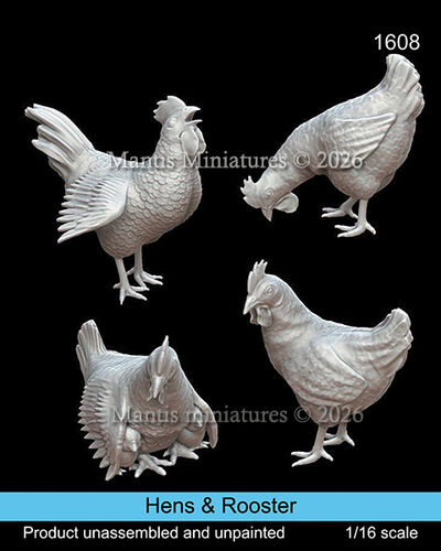 NEW! Mantis Miniatures 1608 Hens & Rooster