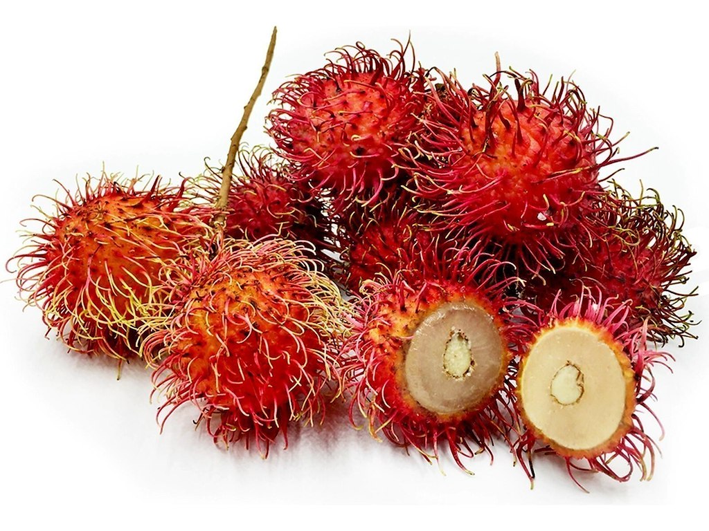 Rambutan seme (Nephelium lappaceum)