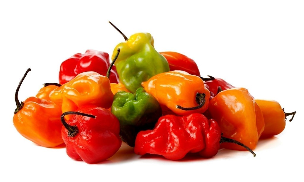 Habanero crveni, žuti, narandžasti seme