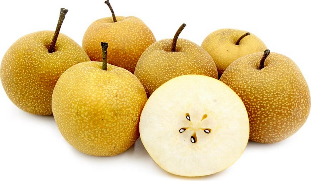 Azijska Kruska Seme (Pyrus pyrifolia) Chinese Sand Pear