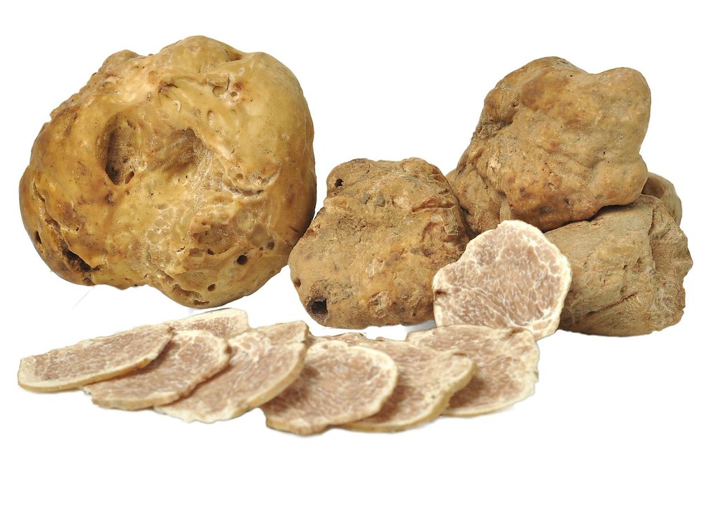 Beli Tartuf Micelijum (Tuber magnatum)