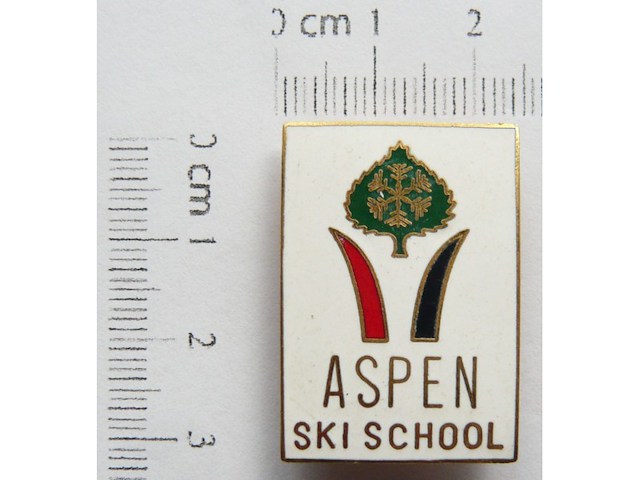 Ski school Aspen