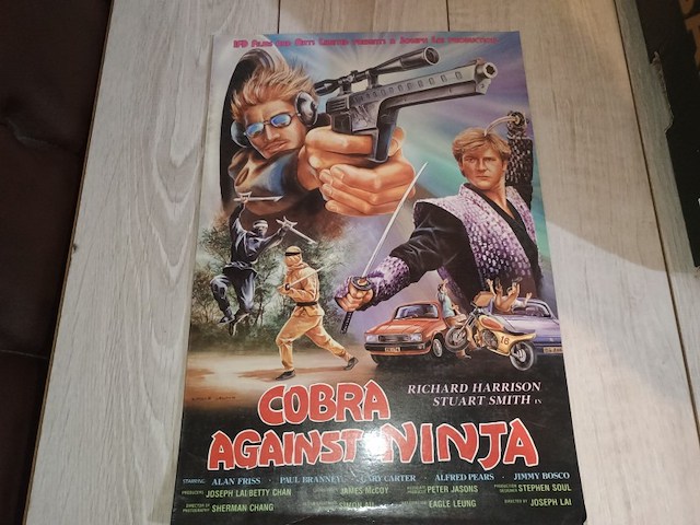 Cobra Against Ninja
