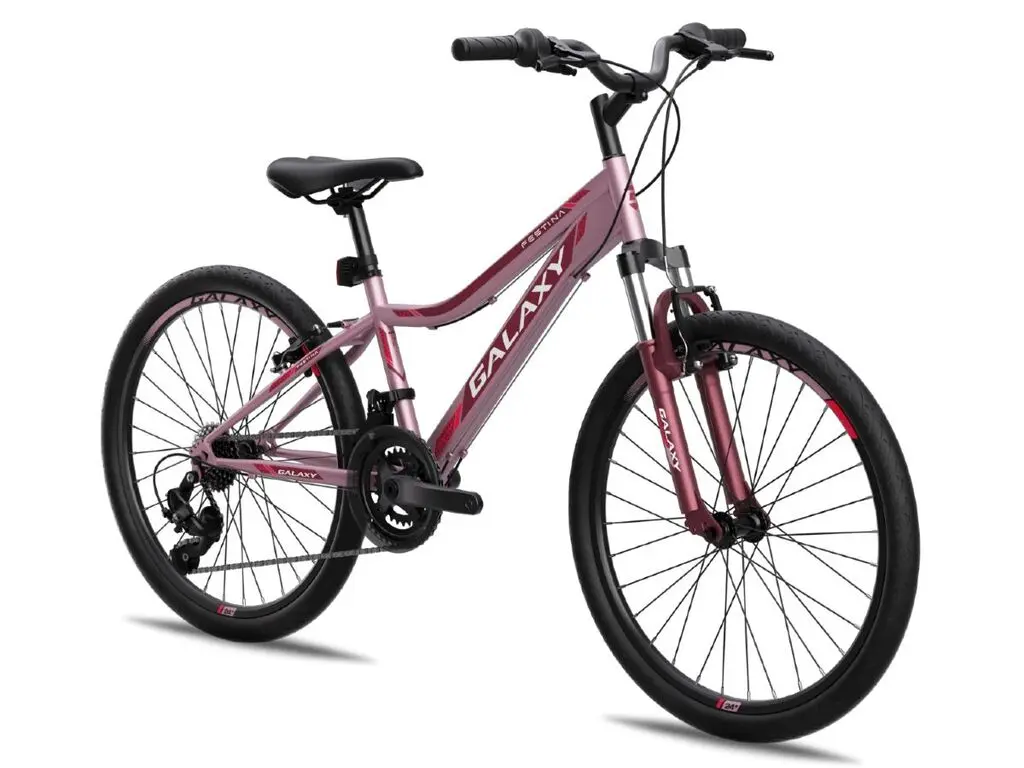 Galaxy Ženski bicikl Festina FS 24"/18, Roze