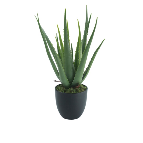 Veštačka biljka Aloe Vera 025149