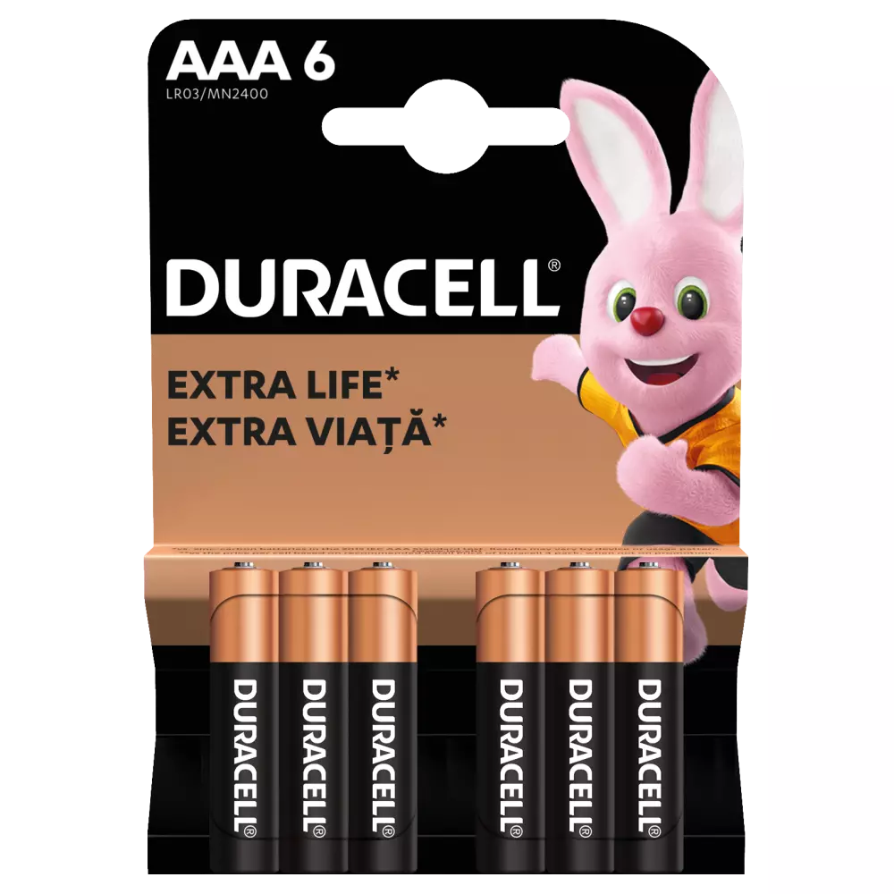 DURACELL Basic baterija AAA 6kom/pak