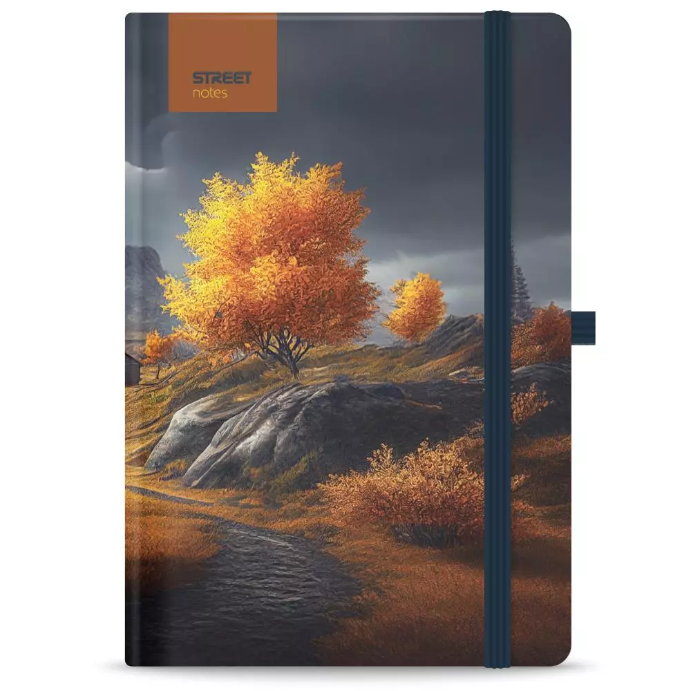 NOTES B5 96 lista TRESS SERENITY