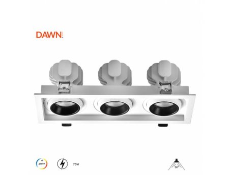 DAWN DYF3-03 75W LED svetiljka