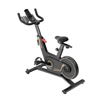 Kingsmith Sprint Spinning Bike PB08S