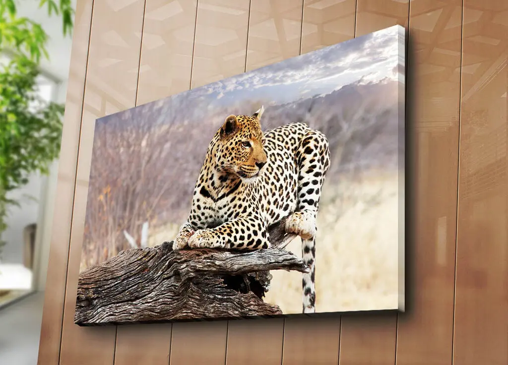 Wallity Dekorativna slika na platnu, 70x100cm, Šarena
