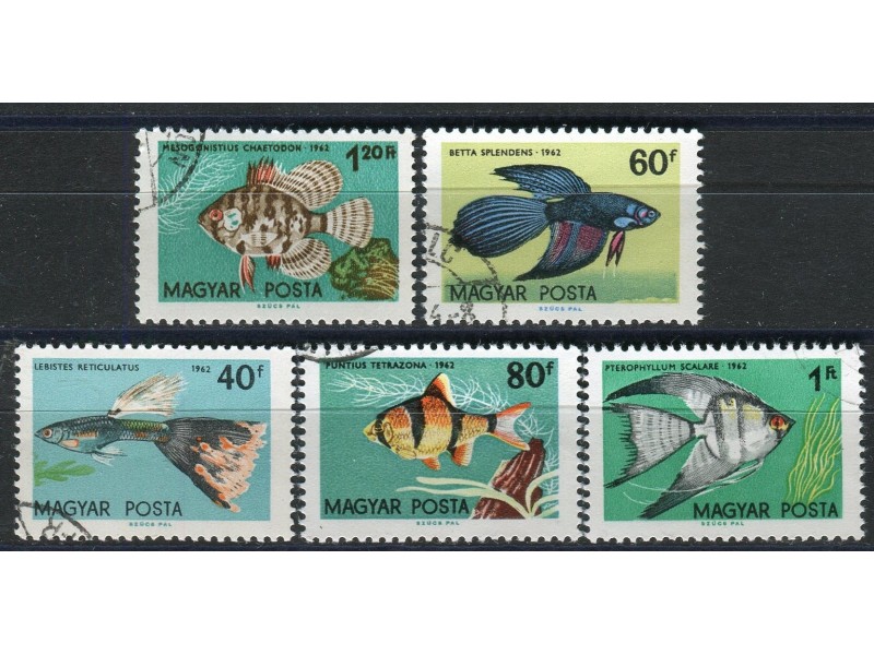 216 - Mađarska - Fauna - Ribe - žigosane marke