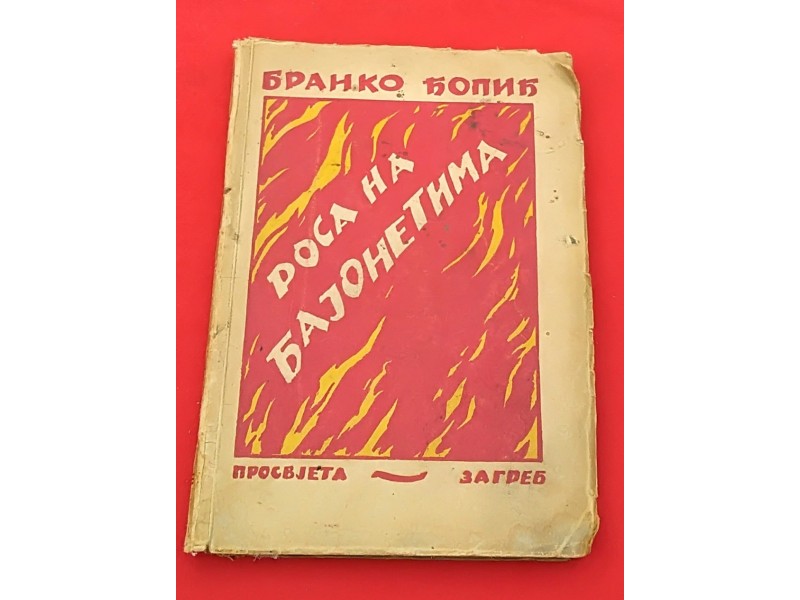 Rosa na bajonetima Branko Ćopić