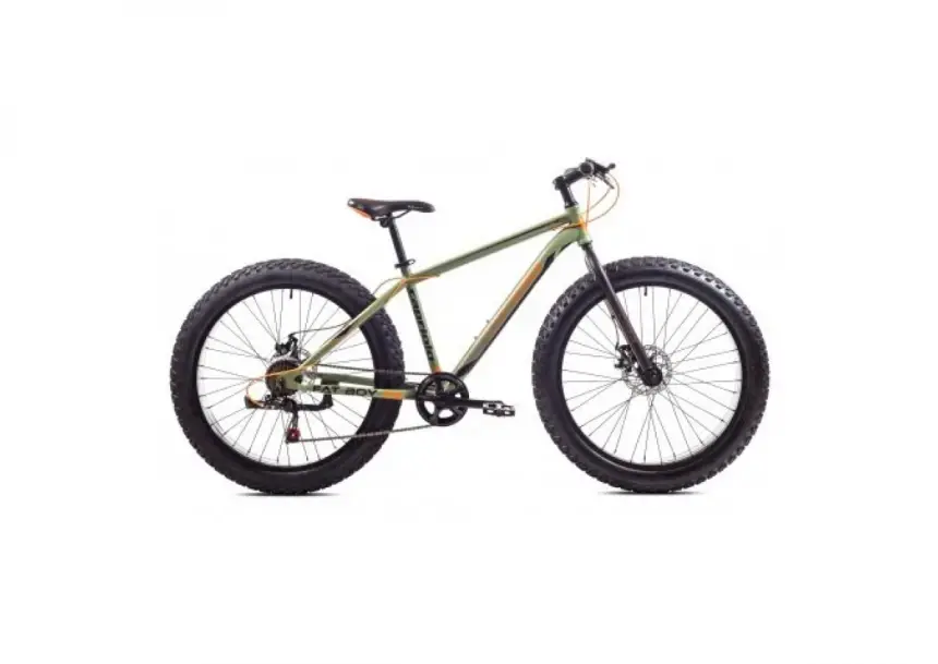 Capriolo MTB MADISON RAGE 24"3 920940