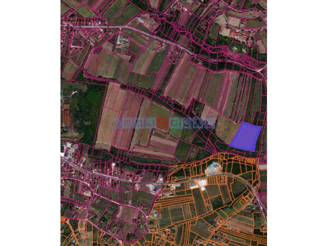 Na prodaju njiva u Topoli/Oplenac 1,5h šuma u sklopu njive