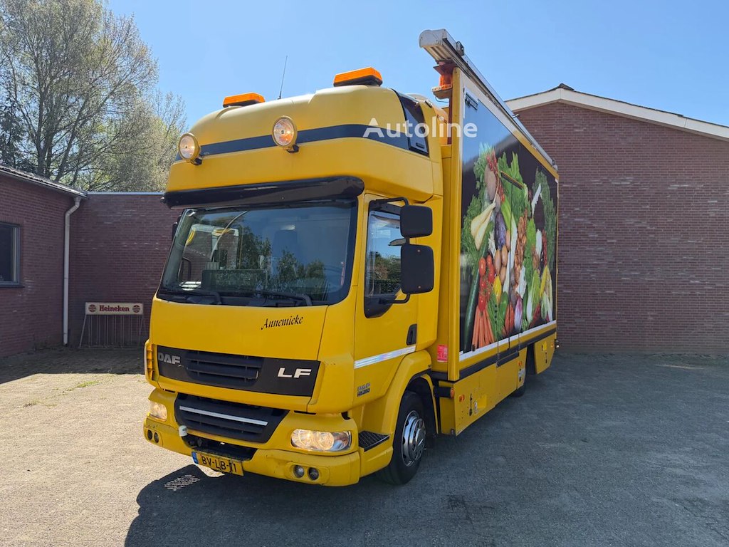 DAF LF 250 / Thermo King MD-300 / Dhollandia Laadklep / Automaat / A kamion hladnjača