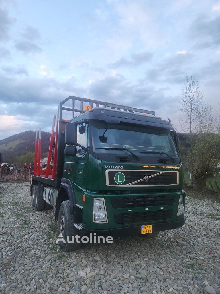Volvo FM 480 kamion za prevoz drva