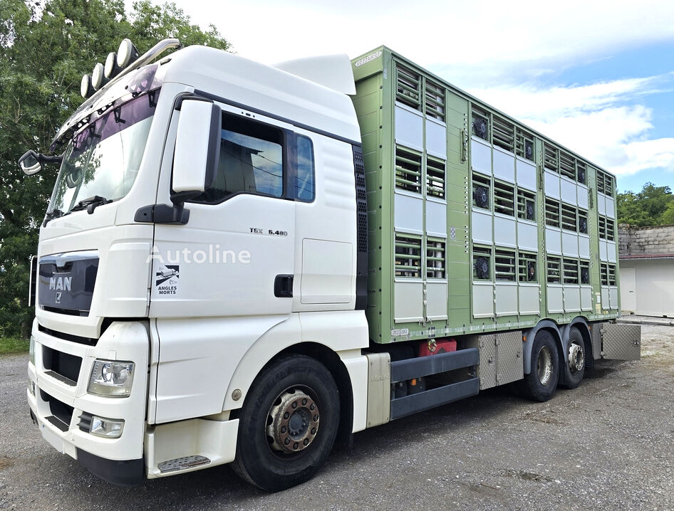 MAN TGX.26-480 kamion za prevoz stoke