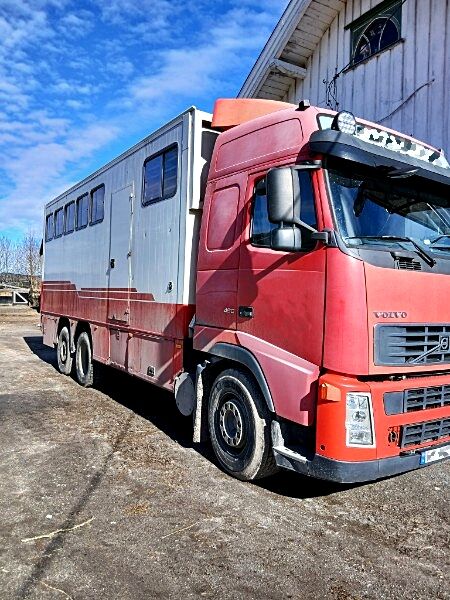 Volvo FH12 460 *6X2 *8x Horses *3x Persons living kamion za prevoz konja