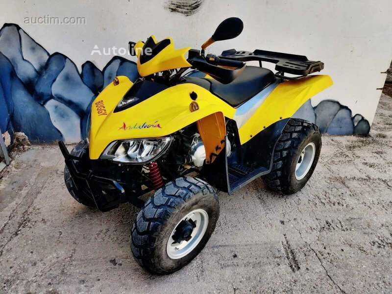 Prodaje se SYM Trackrunner četverocikl na aukciji