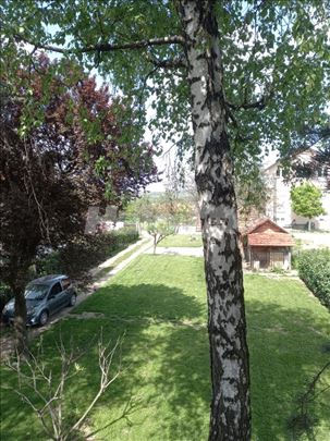 Avala,kokamar200m2