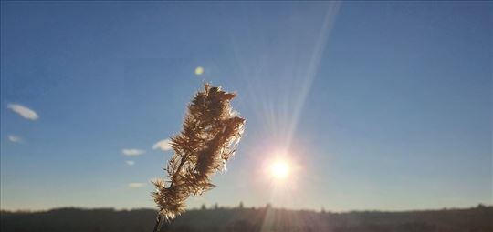 Zemljište na putu ka Rumenci