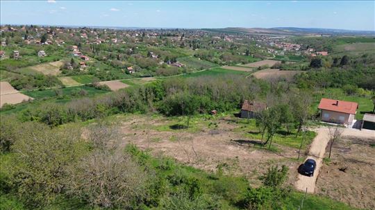 Čortanovci, Građevinsko zemljište 1500m2 HITNO!