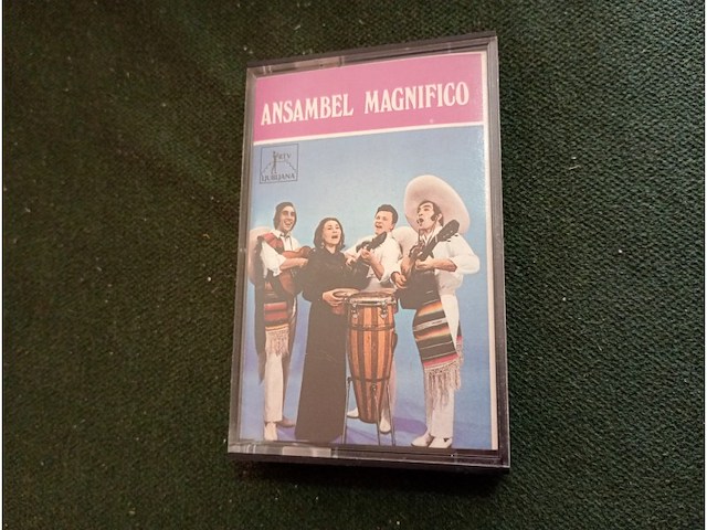Ansambel Magnifico - Alma Llanera
