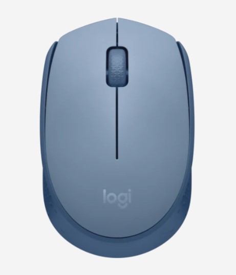 Logitech M171 Wireless Mouse Bluegrey
