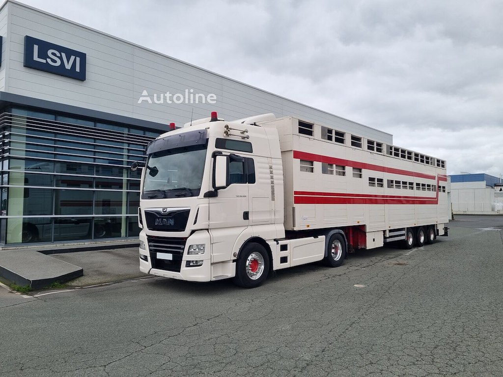 MAN TGX 18.500 tegljač + poluprikolica za prevoz stoke