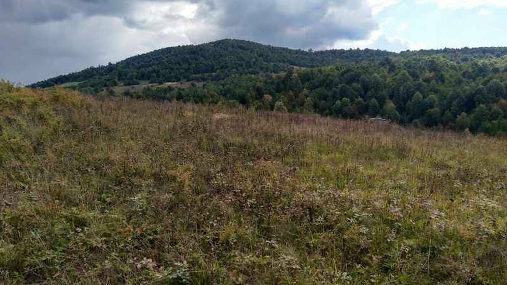 Plac, Boljevac - Dobrujevac | Prodaja · 43922m² · 13.900€