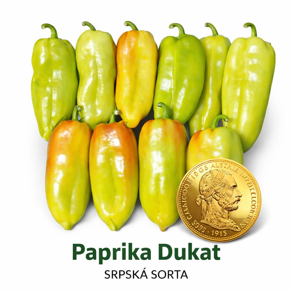 Paprika Dukat Seme