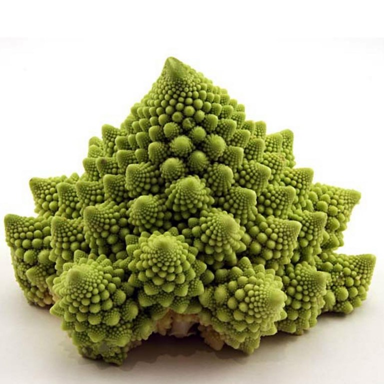 2000 Semena Romanesco Karfiola