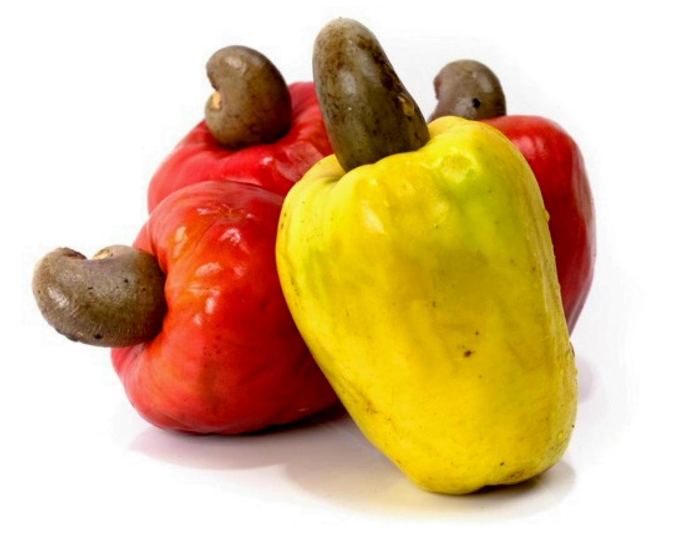 Cashew - Indijski Orah Seme (Anacardium occidentale)