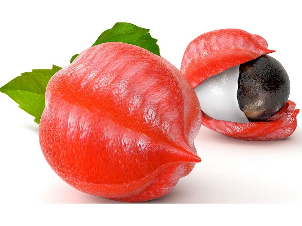 Guarana - Gvarana Seme (Paullinia Cupana)