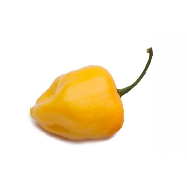 Big Sun - Yellow Sun Habanero Seme
