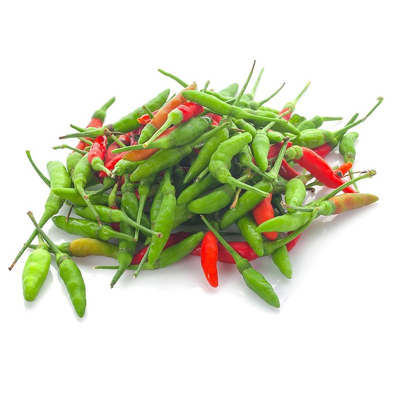 Birds eye Chili Seme (piri-piri, jindungo)