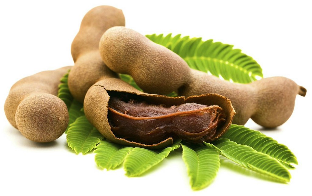 Tamarind Seme (Tamarindus indica)