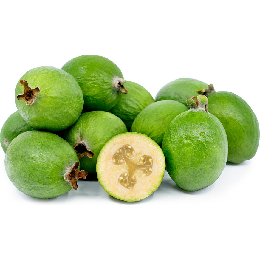 Fedjoja - Feijoa Seme (Acca sellowiana)