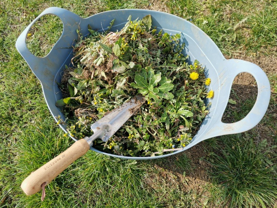 Kosenje trave i uređenje dvorišta
