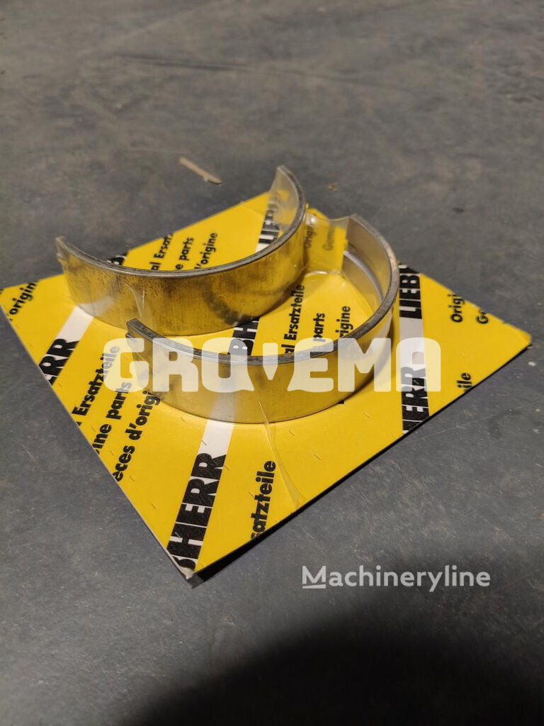 Main Bearing Liebherr Main Bearing 8001426 za bagera