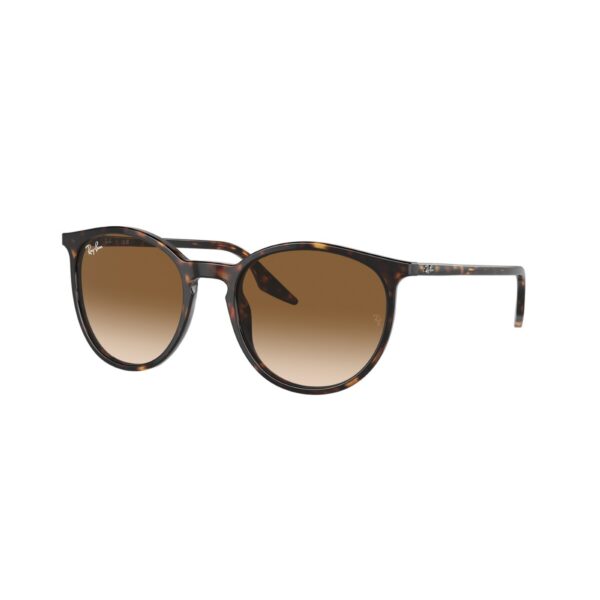 RAY BAN Sunčane naočare 0RB2204 902/51 51