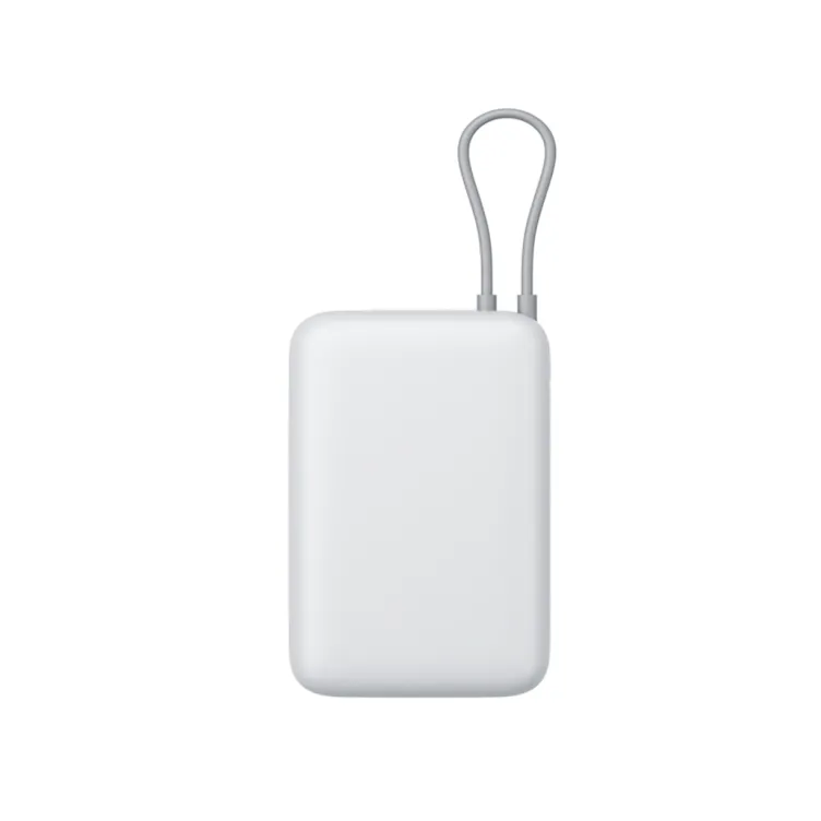 Prenosivi punjac XIAOMI PowerBank 20000mAh/sa kablom/svetlo siva