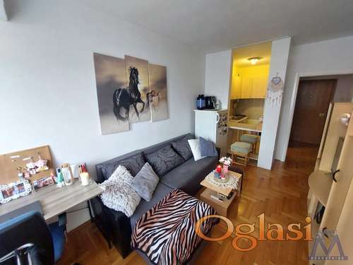 Stan,NOVI SAD,BULEVAR,kv: 37, € 350, ID: 9101941