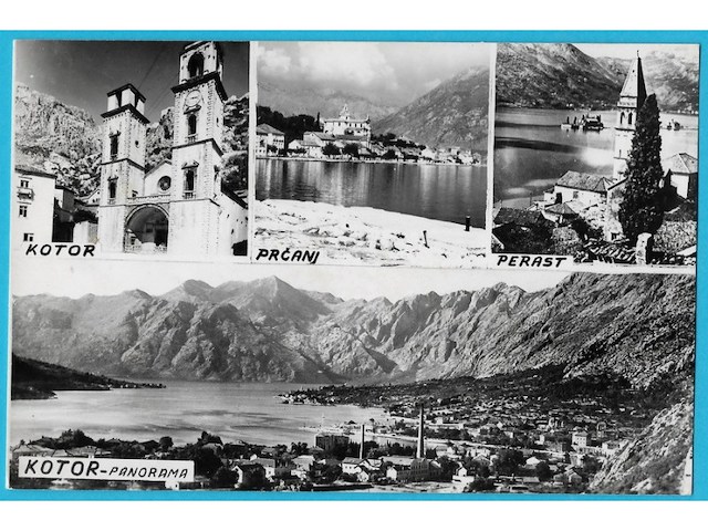 Kotor
