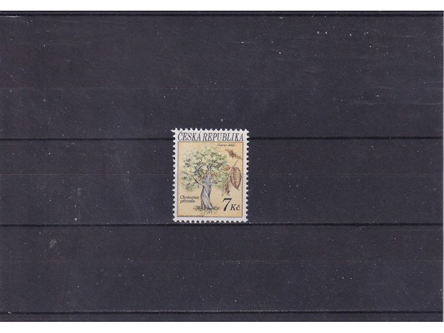 Češka 1993