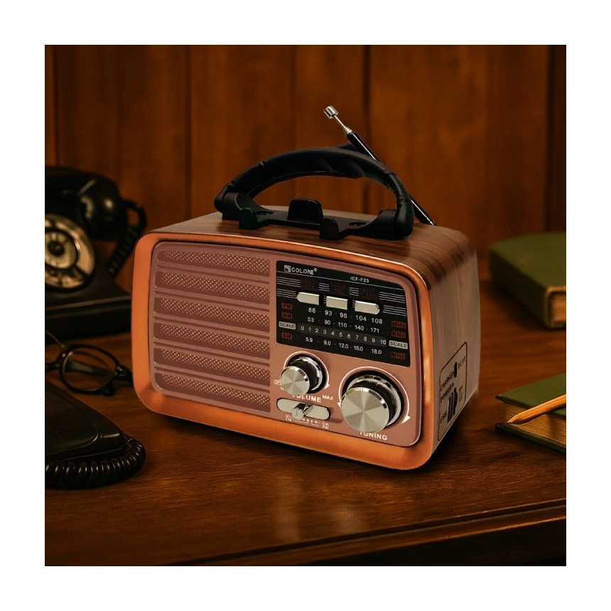 Radio prenosni 6227PK