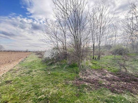 Dobra prilika za sigurno ulaganje ID#1343