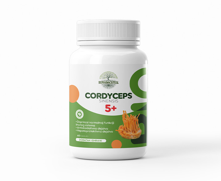 Cordyceps Sinensis 5+ 60 kapsula