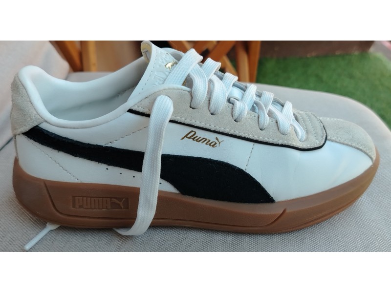 Puma 36