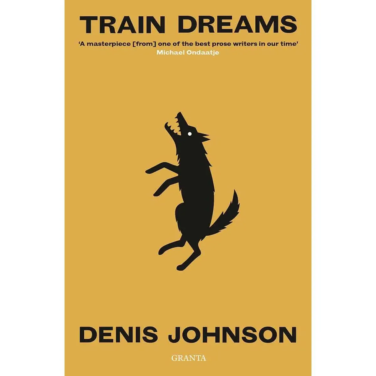 TRAIN DREAMS